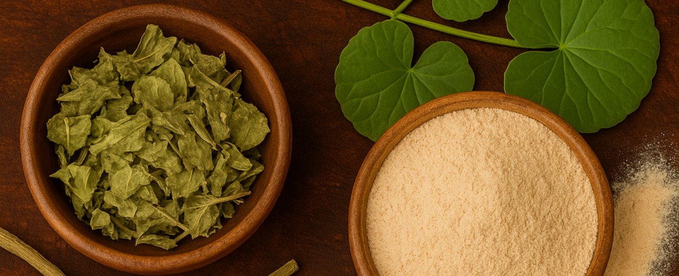 Centella Asiatica Extract in India | Natural Gotu Kola Herbal Extract ...